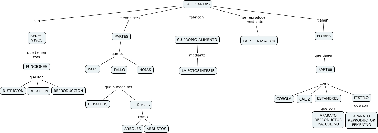 LAS PLANTAS-(Daniela)